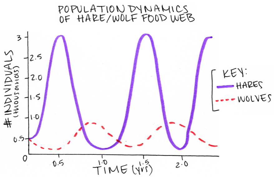 Dynamic Equilibrium: Conquering the Ecosystem of Self – Ethereal Ecology